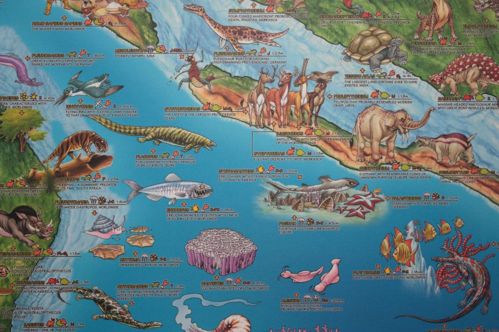 Prehistoric World Illustrated Map Sample - Geographica