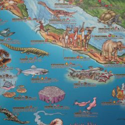 Prehistoric World Illustrated Map - Geographica