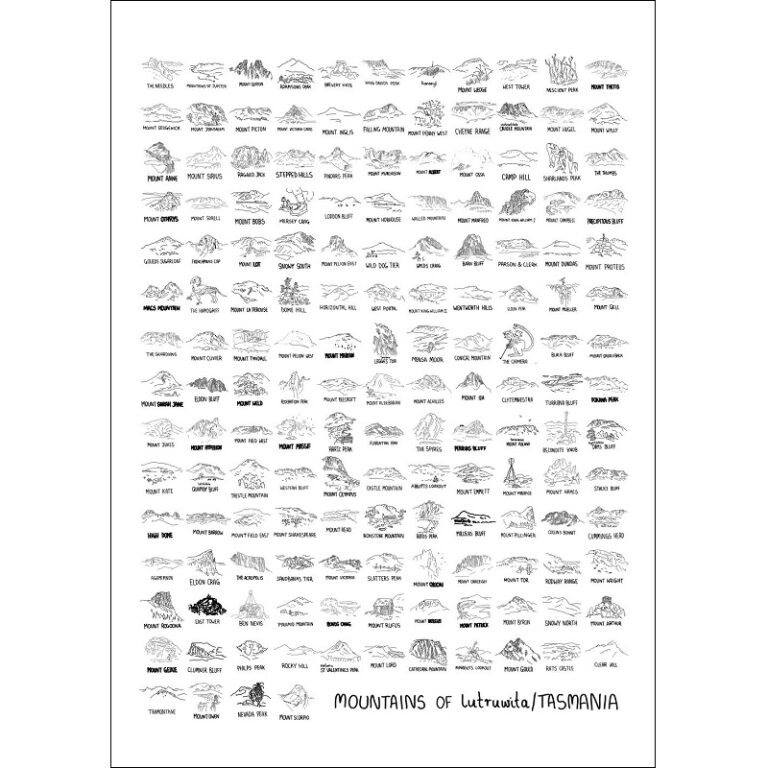 Native Bees of Tasmania Print - Geographica