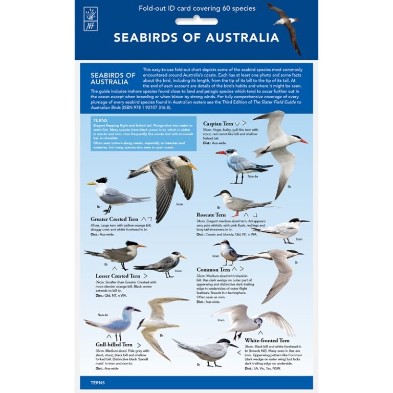 Seabirds of Australia ID Chart - Geographica